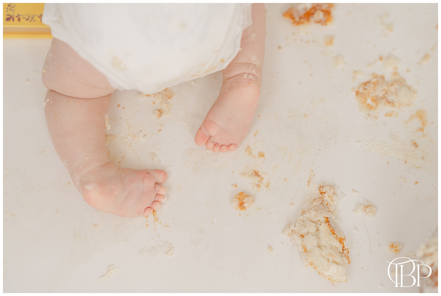 Winnie the Pooh Themed Studio Cake Smash Session in Fairfax, Virginia ...